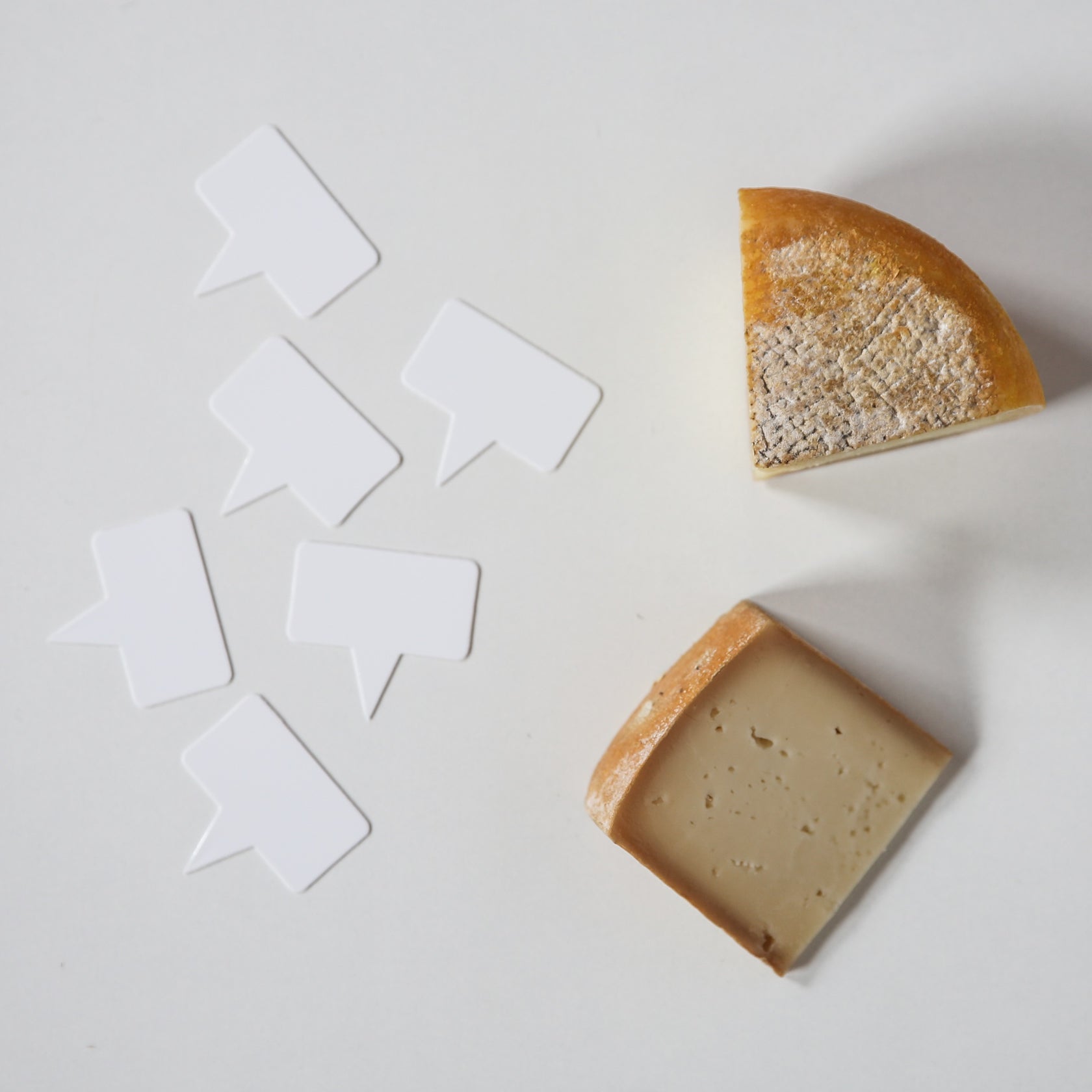 Cheese Signs – Formaticum